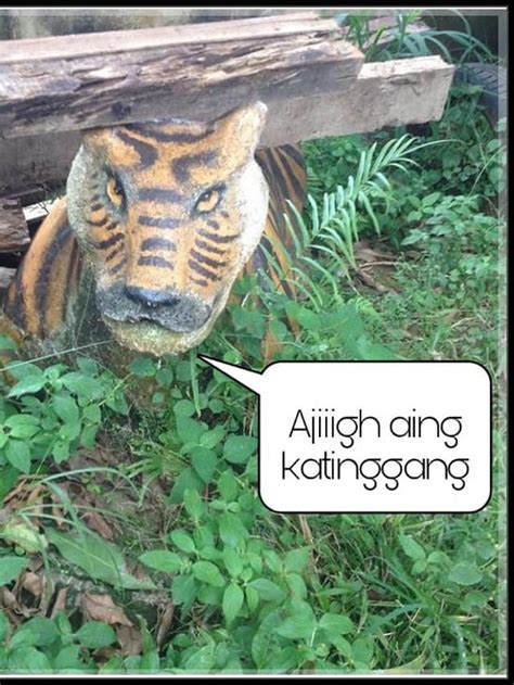 10 Macan Lucu Dengan Bentuk Kocak Unik Menghibur Hati Hot