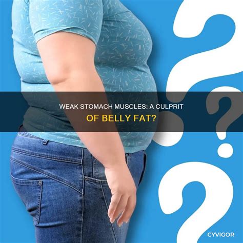 Weak Stomach Muscles A Culprit Of Belly Fat Cyvigor
