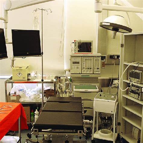 View Of The Laparoscopy Unit Download Scientific Diagram