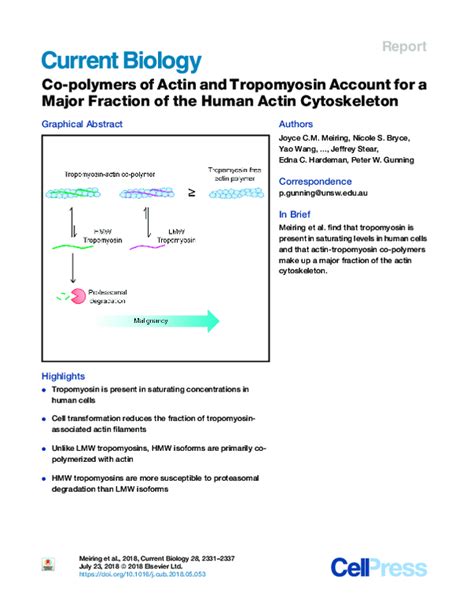 Pdf Co Polymers Of Actin And Tropomyosin Account For A Major Fraction