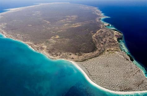 La Tortuga Island Masterplanning Horwath Htl