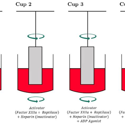 The Analysis Of Platelet Function Requires Four Cups For Modified