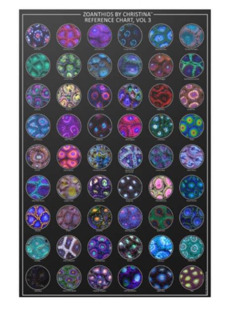 270 Unique Zoanthids Identification Poster For Reef Aquariums Complete Reefcause