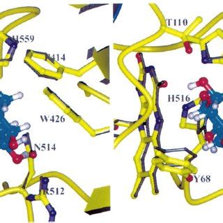 Stereoview Of The Active Site Of Glucose Oxidase From A Niger With The