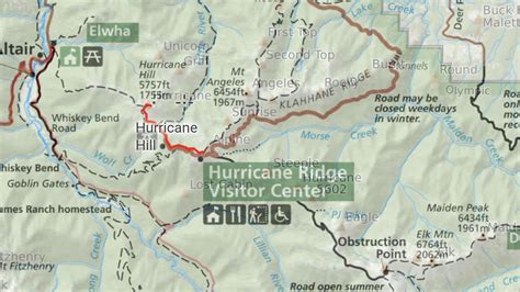 The Wild Compiled Snowshoeing To Hurricane Hill At Olympic National Park
