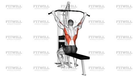 Cable Suspension Back Stretch Exercise Guide Techniques Benefits