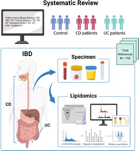 Overview Of Systematic Review On Lipidomics In Inflammatory Bowel