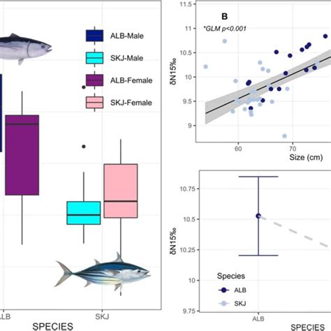 Trophic Plots Aδ¹⁵n Signatures By Species T Alalunga Alb And K