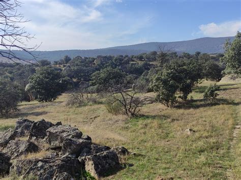 2ª Lextor 2024 Fexo