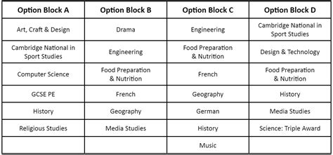 Year 9 Options