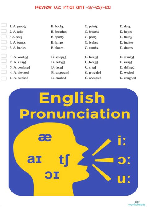 Present Perfect And Present Perfect Continuous Interactive Worksheet