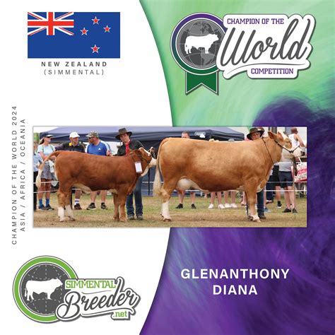 Simmental Breeder Fort Worth Tx