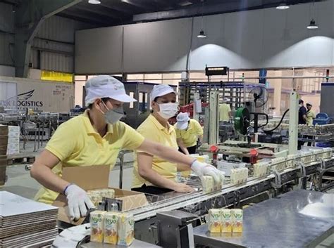 Công ty Sữa đậu nành Việt Nam dẫn đầu thị trường ngành sữa đậu nành hộp giấy Ảnh thời sự trong