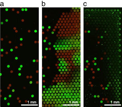 Comparison Of The Three Different Methods To Generate Microarrays All