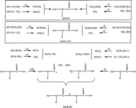 Proposed Formation Routes Of Amino Acids And Dipeptides In The