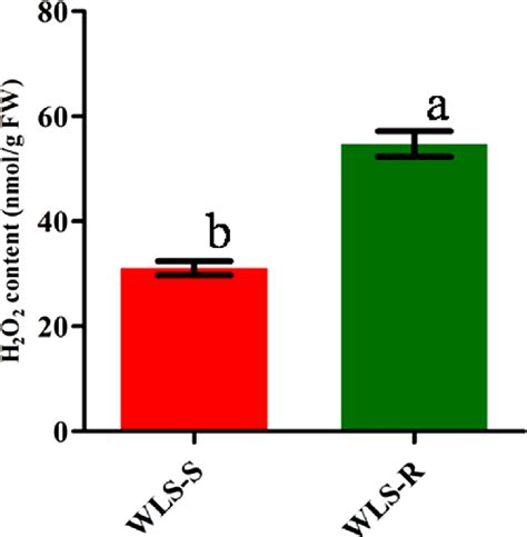 Quantification Of Aqueous H 2 O 2 In Leaves Of Leaf Spot Disease Download Scientific Diagram
