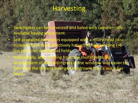 Ppt Types Of Switchgrass Powerpoint Presentation Free Download Id