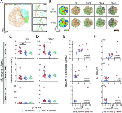 Association Between Complement Mac Deposition And Inflammasome