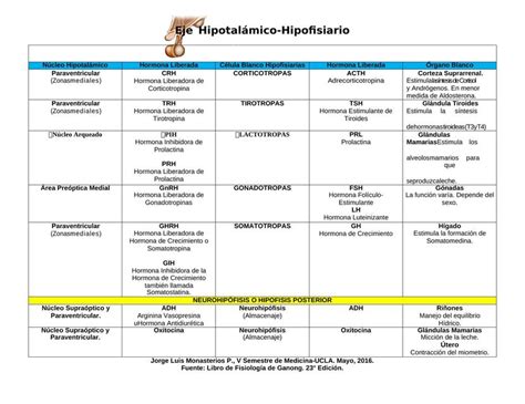 Tabla De Hormonas De La Hipófisis Tabla De Hormonas De La Hipófisis