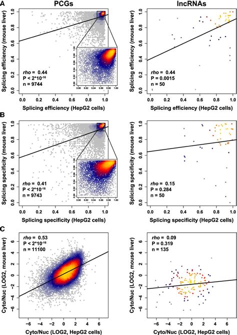 Predictive Models Of Subcellular Localization Of Long Rnas