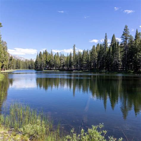 Leavitt Meadows To Long Lakes Out And Back Hiking Trail Maps