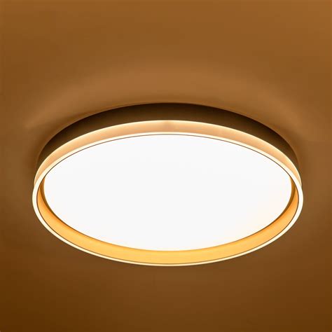 Decorative Led Ceiling Lights In India Shelly Lighting