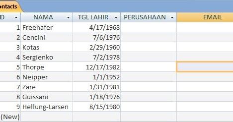 Menghitung Umur Dengan Kode VBA Ms Access Ms Access And VBA Development Tutorial