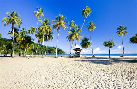 Best Time To Visit Trinidad And Tobago Best Time Of Year For Travelling