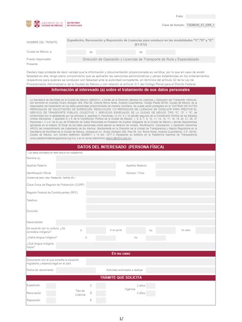 Tsemovi St Err 6 1 Pdf México Licencia De Conducir
