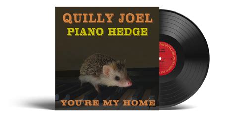 Quilly Joel Piano Hedge Re Release Rhedgehogedits
