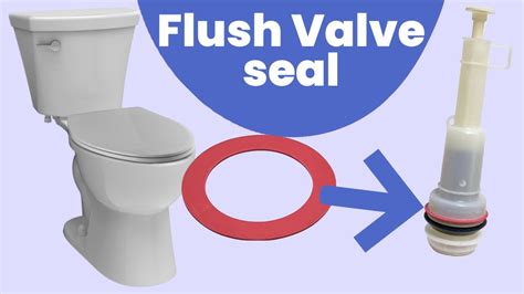 Toilet Flush Valve Seal