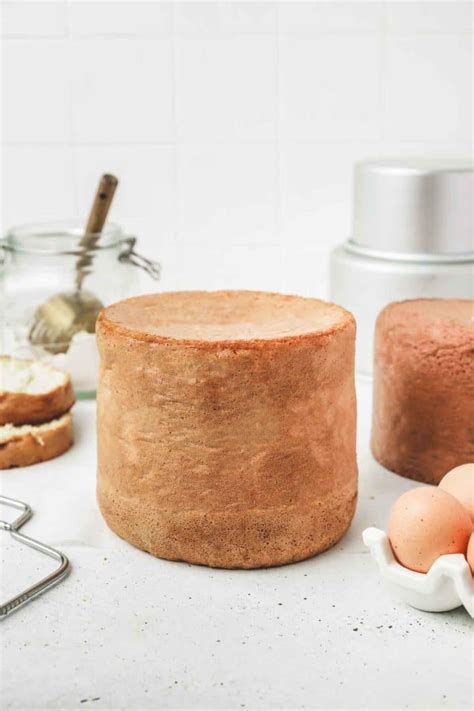 Quelle Génoise Choisir Pour Un Layer Cake Recettes Et Conseils