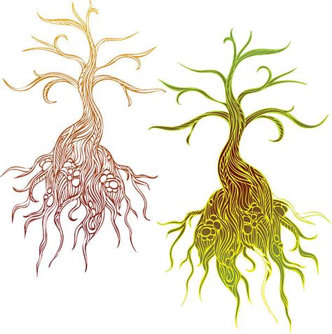 Best Tree Rot Illustrations Royalty Free Vector Graphics And Clip Art