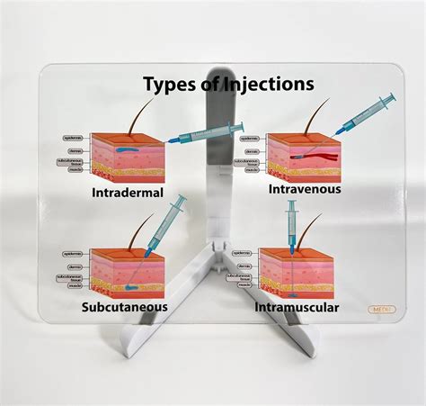 Types Of Injections Botox Aesthetics Beauty Teaching Clinic Décor