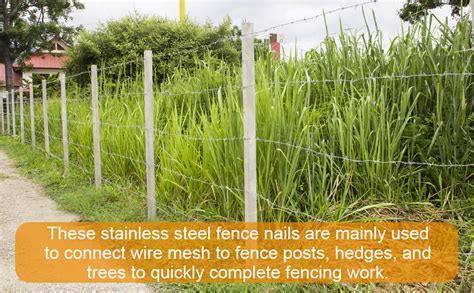 2 Inch Fence Staples 50pcs Galvanized Fencing Staples For Wire Fencing Barbed Wire