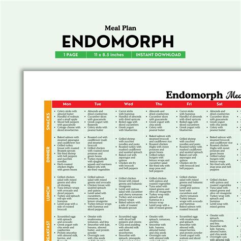 Endomorph Meal Plan Printable Color Pdf Easy Fat Loss Meal Ideas For Endomorph Body Type