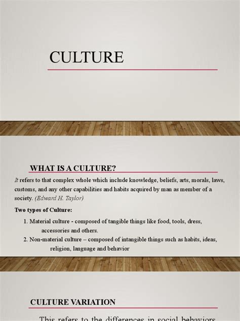 Ucsp Culture Pdf Morality Society