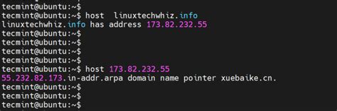 Best Tools To Troubleshoot DNS Issues In Linux