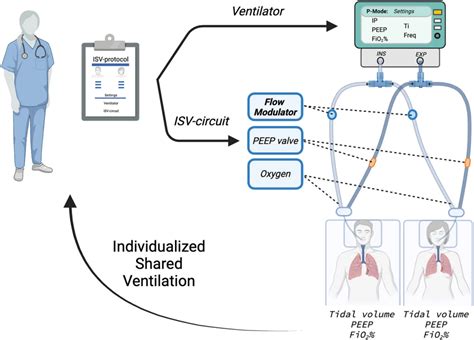 Design Of A Flow Modulation Device To Facilitate Individualized Ventilation In A Shared