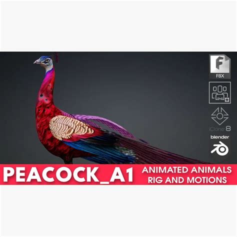 Peacock 3d Models Download