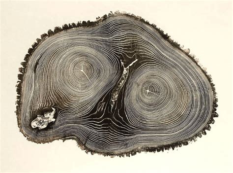 Woodcut Prints Showcase The Beauty Of Tree Rings DeepRoot Blog