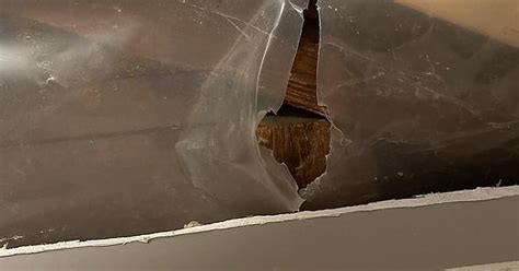 Stud Meets Angled Brace Album On Imgur