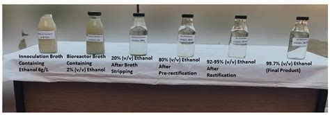 1g 2g 3g Bioethanol What Are Different Bioethanol Generation