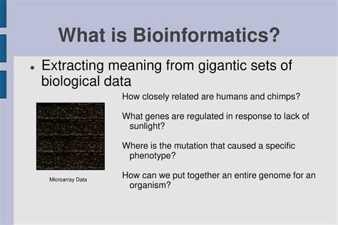 algorithm animation for bioinformatics algorithms ppt download
