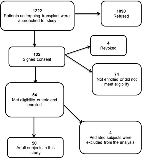 Figure 1 From Estimating Gfr In Adult Patients With Hematopoietic Cell