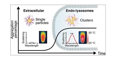 Programming Intracellular Clustering Of Spiky Nanoparticles Via