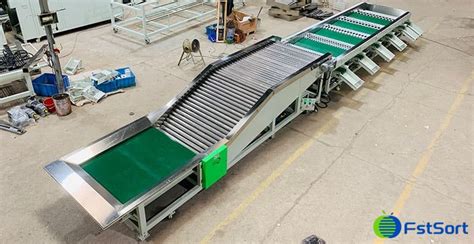 Which Classifier Is More Suitable For Tomato Size Sorting