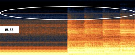 Understanding Spectrograms