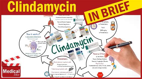 Clindamycin Cleocin What Is Clindamycin Used For Dosage Side Effects And Precautions Youtube