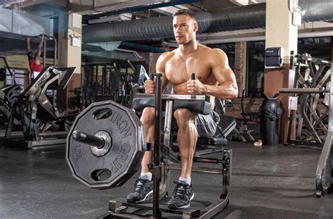 Seated Calf Raise Cabinets Matttroy